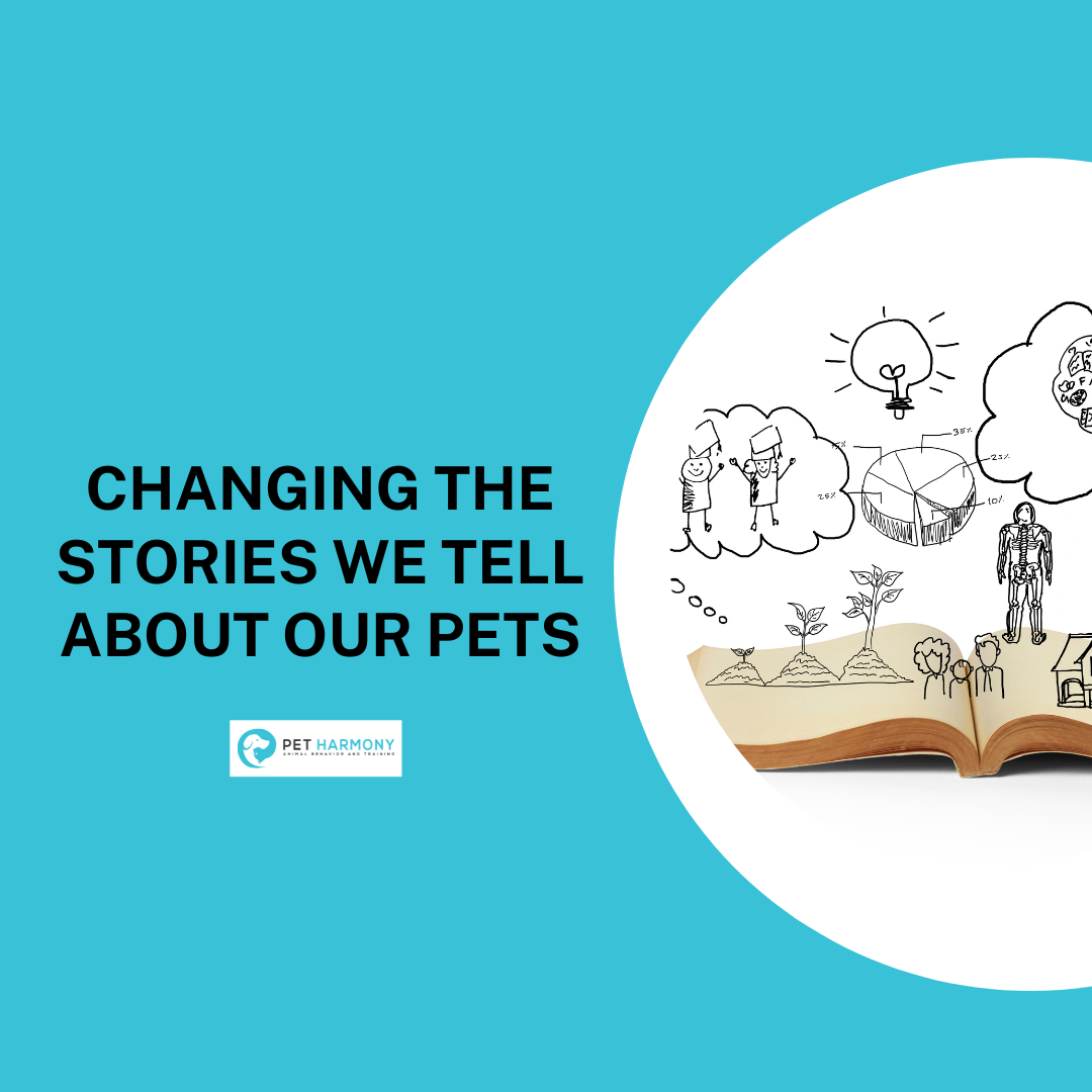 Changing the Stories We Tell About Our Pets - Pet Harmony