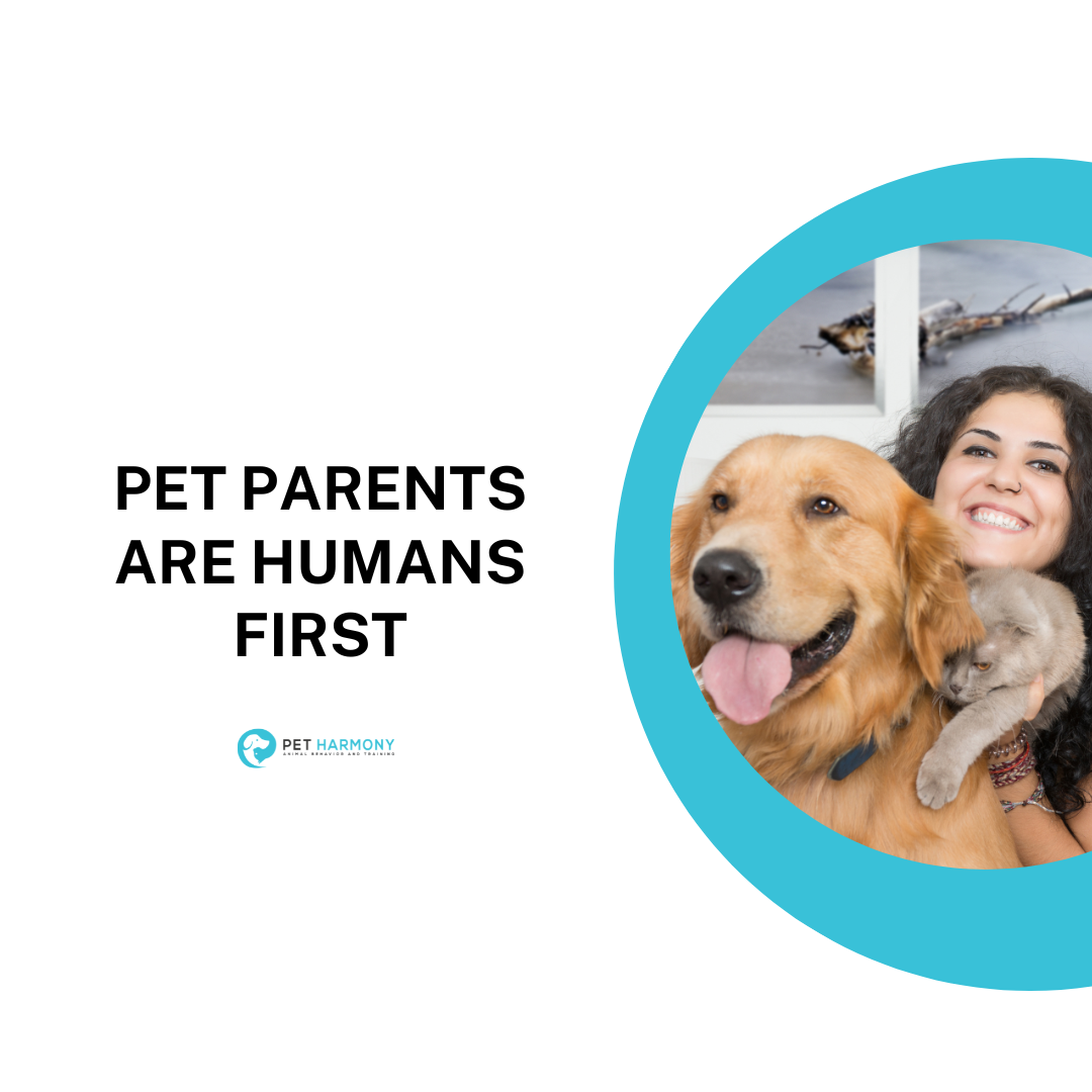 Pet Parents are Humans First - Pet Harmony