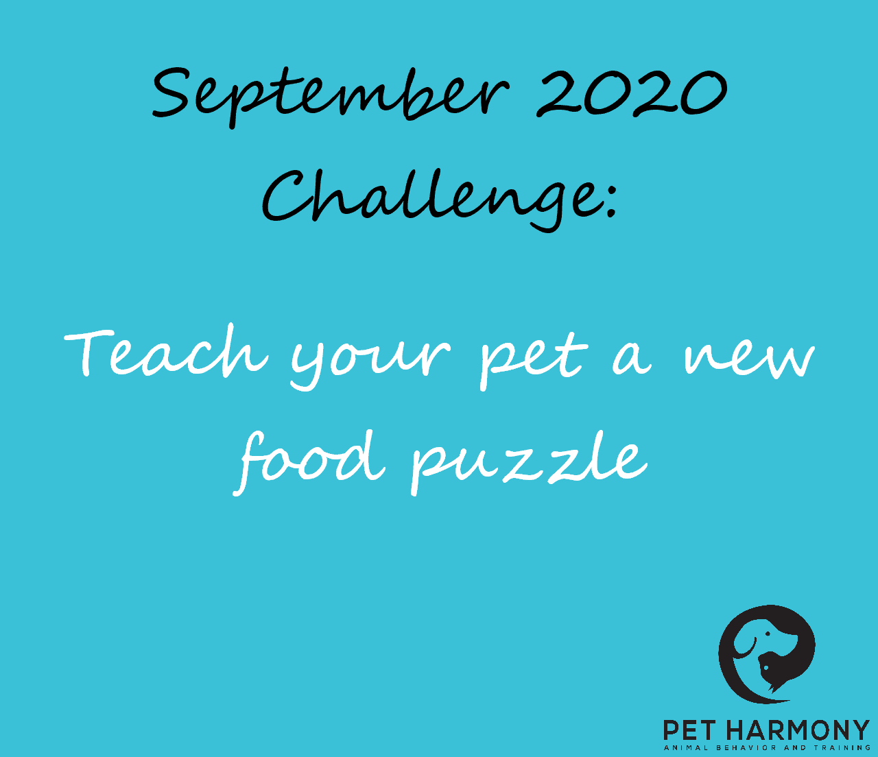 September 2020 Training Challenge: Teach Your Pet to Use a New Food ...