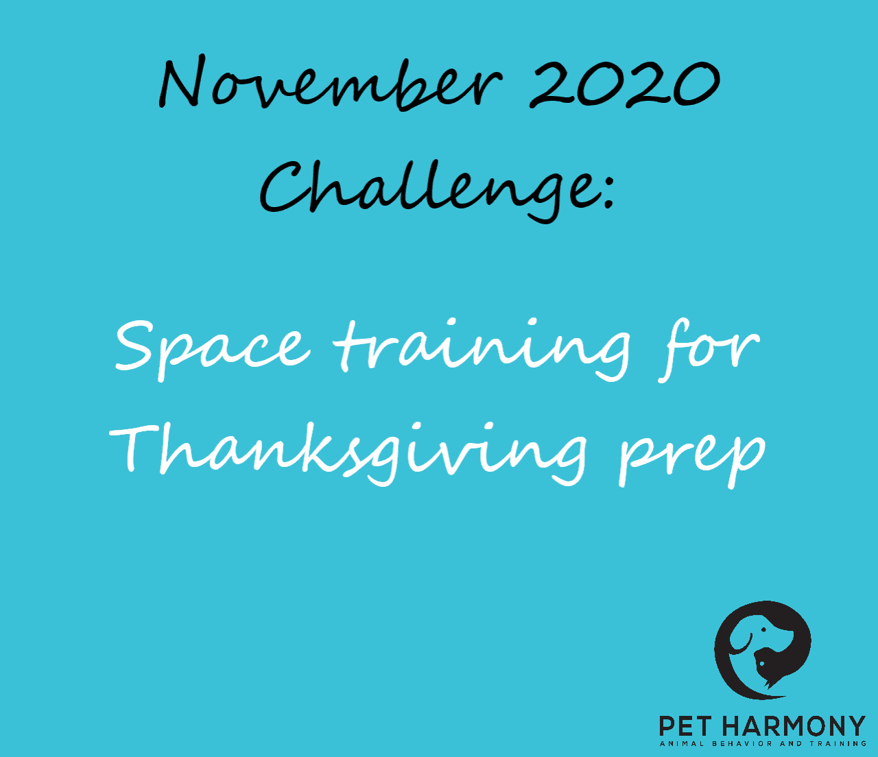 November 2020 Training Challenge: Use a Relaxation Protocol or Mat Work ...