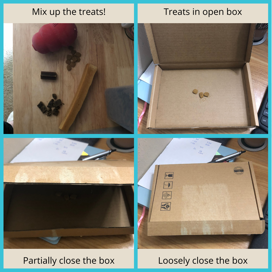 July 2022 Training Challenge: Explore Variety Through a Cardboard Box ...