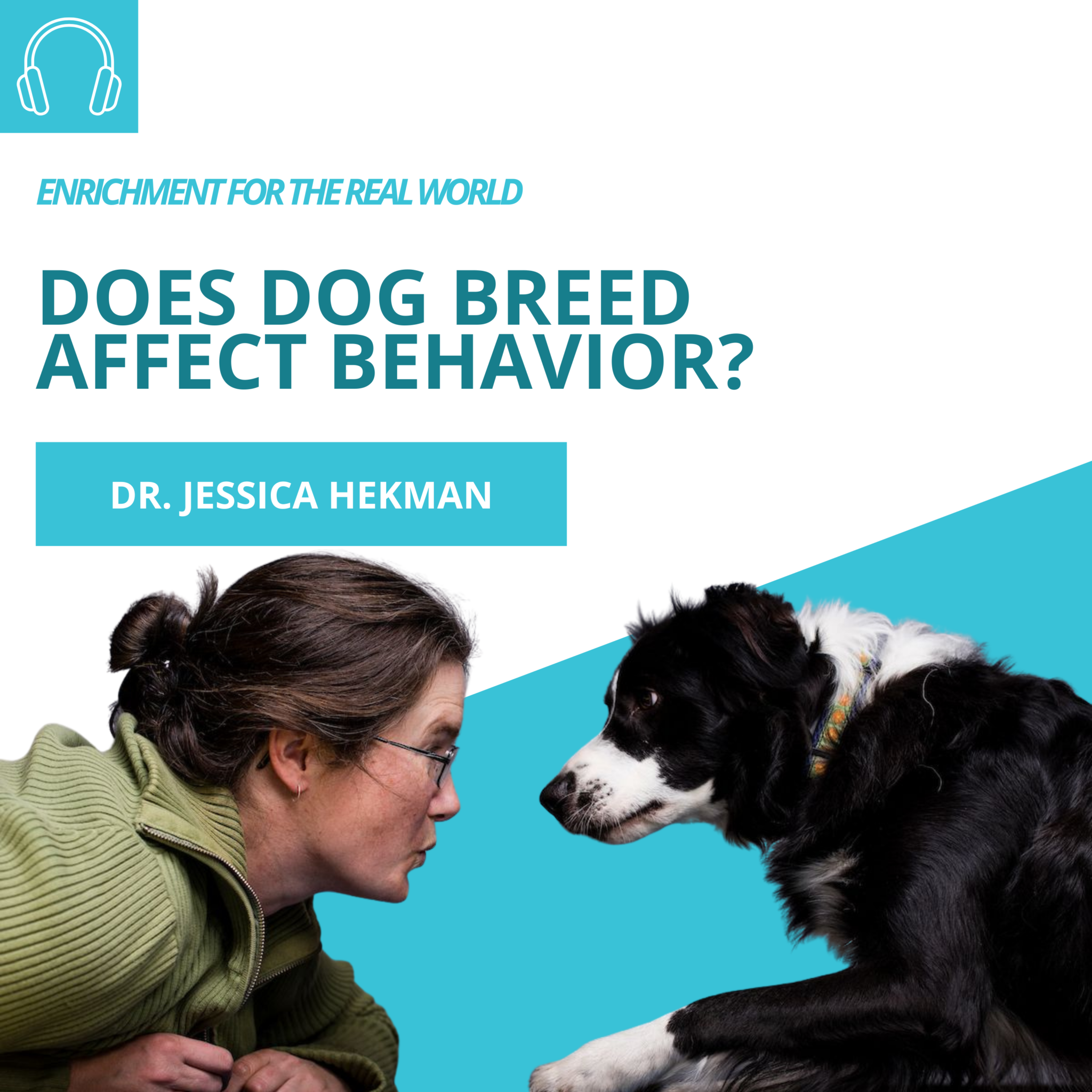 Enrichment for the Real World Podcast Episode 28: Dr. Jessica Hekman ...