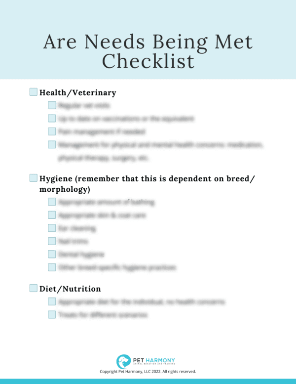 How Do I Know What My Dog Needs? - Pet Harmony