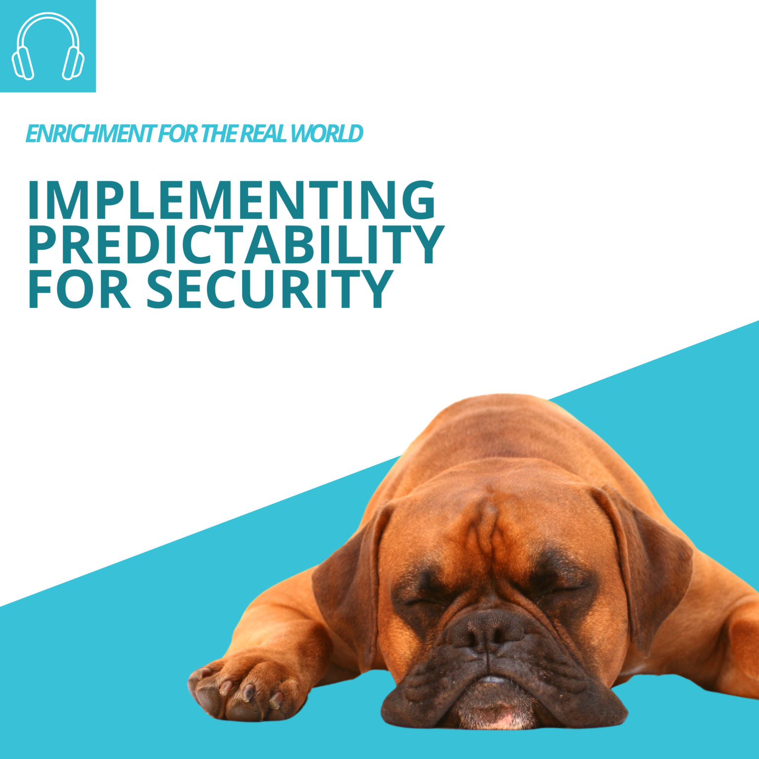 Podcast Episode 35: Implementing Predictability for Security - Pet Harmony