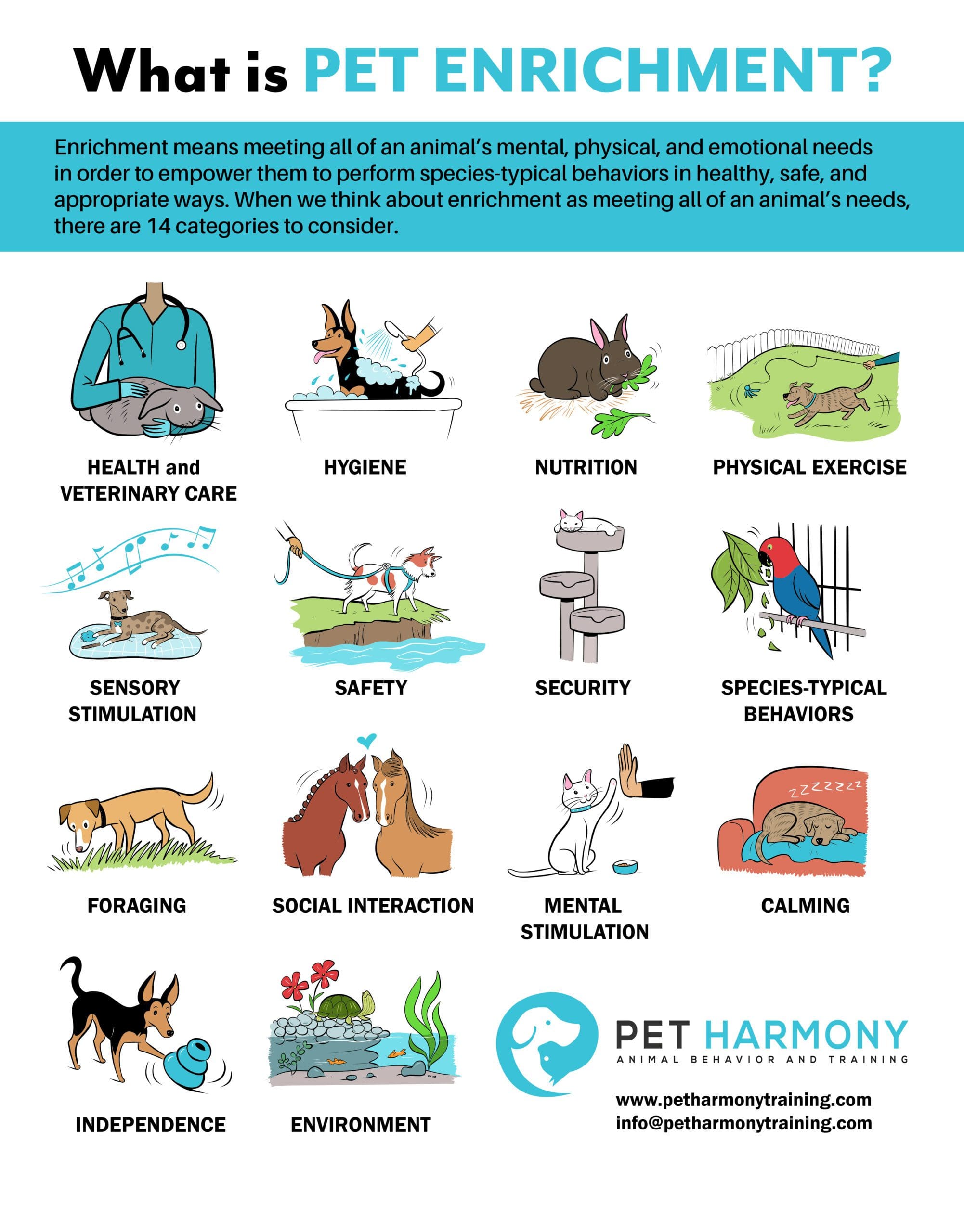 The 14 Categories Of Pet Enrichment Pet Harmony The 14 Categories Of Pet Enrichment Pet Harmony