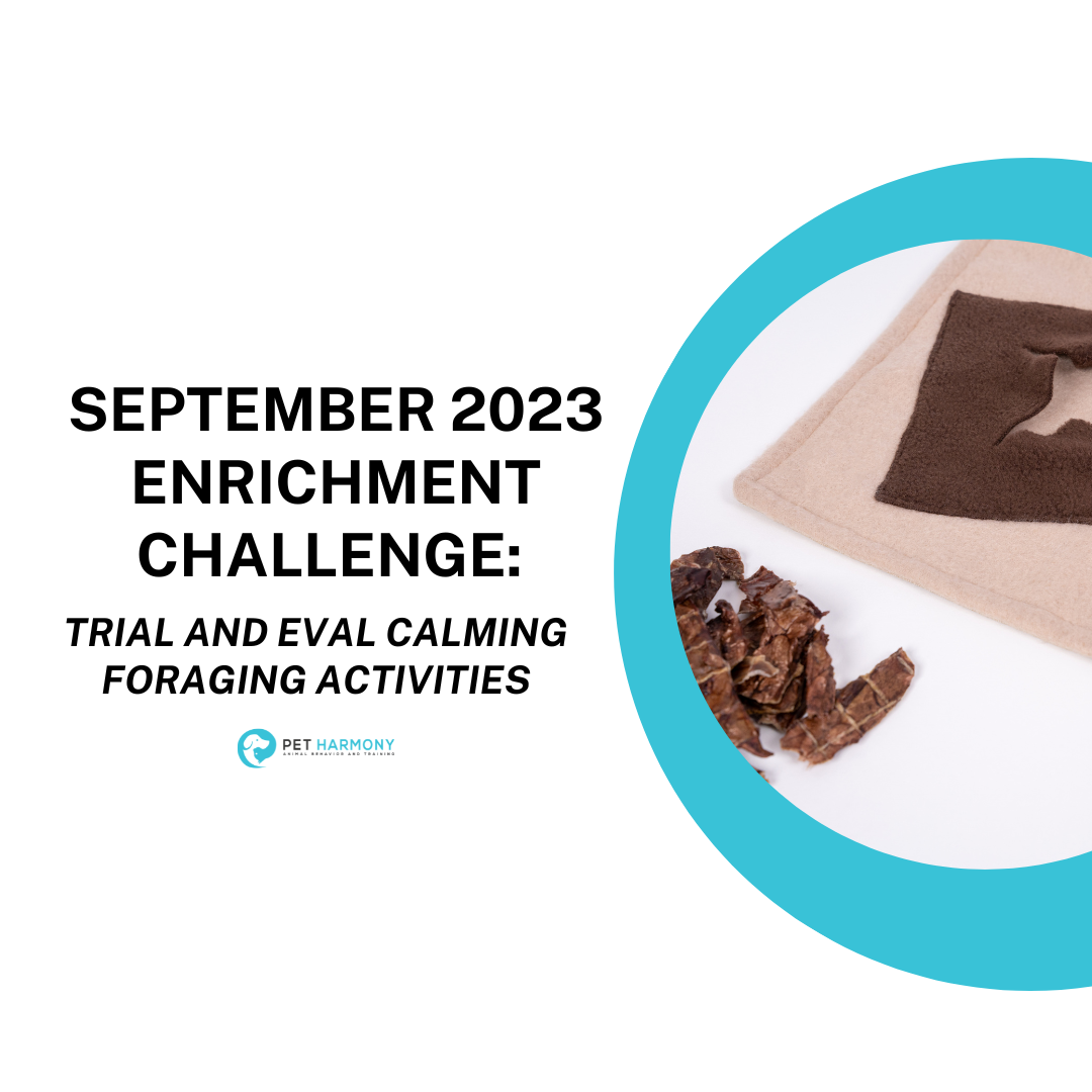 September 2023 Enrichment Challenge: Trial and Eval Calming Foraging ...