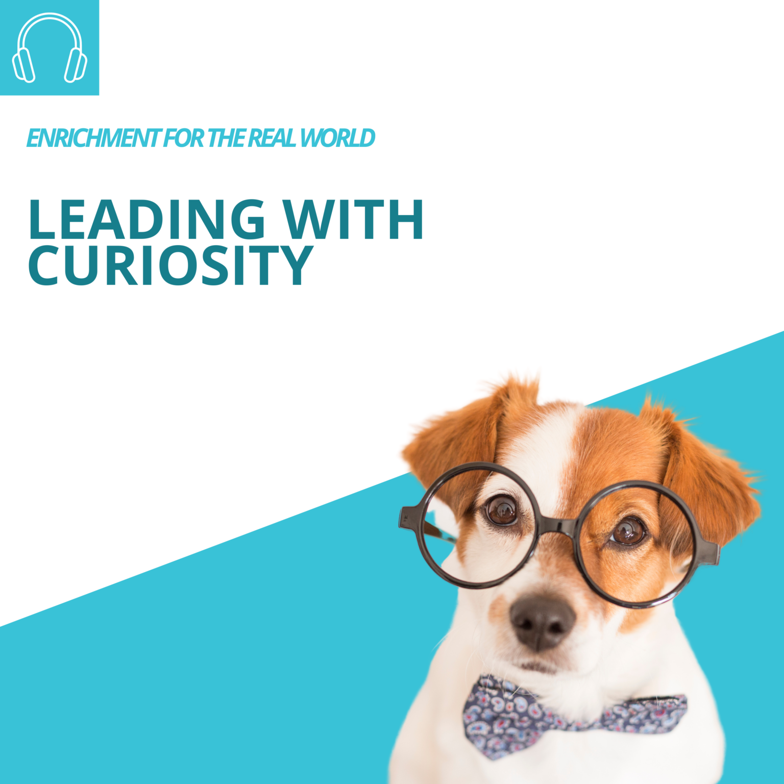 Podcast Episode 59: Transcript - Pet Harmony