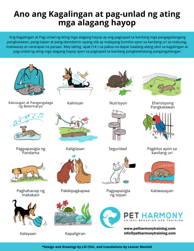 Pet Enrichment Poster - Tagalog - Pet Harmony