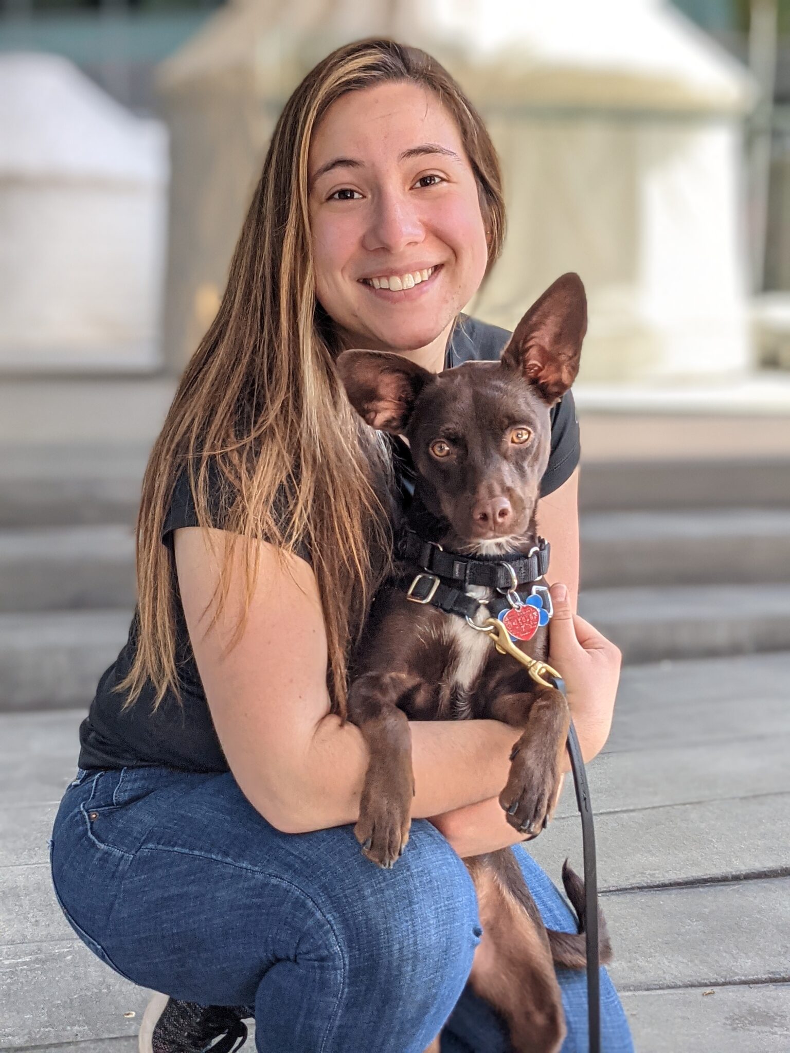 Claire Horvat - Pet Harmony