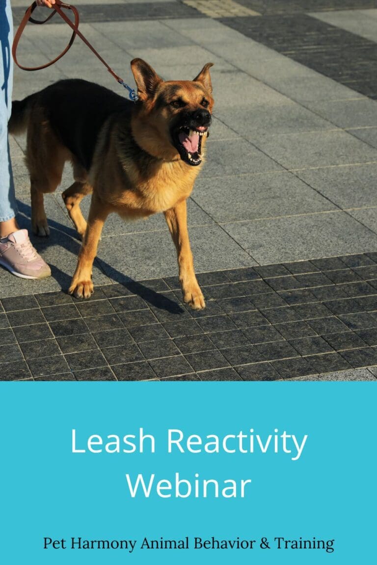 Leash Reactivity Webinar: 8/04/24 - Pet Harmony