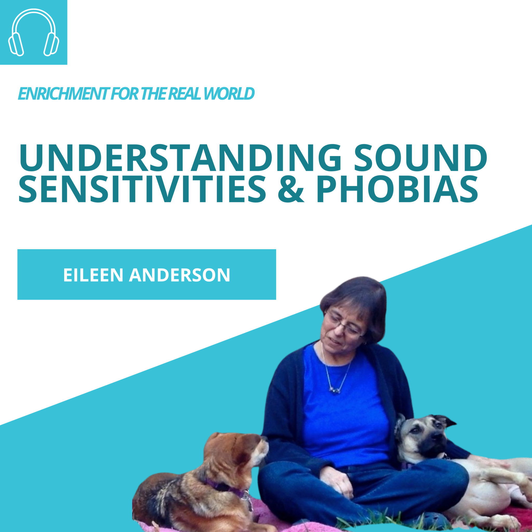 #80 - Eileen Anderson: Understanding Sound Sensitivities & Phobias ...