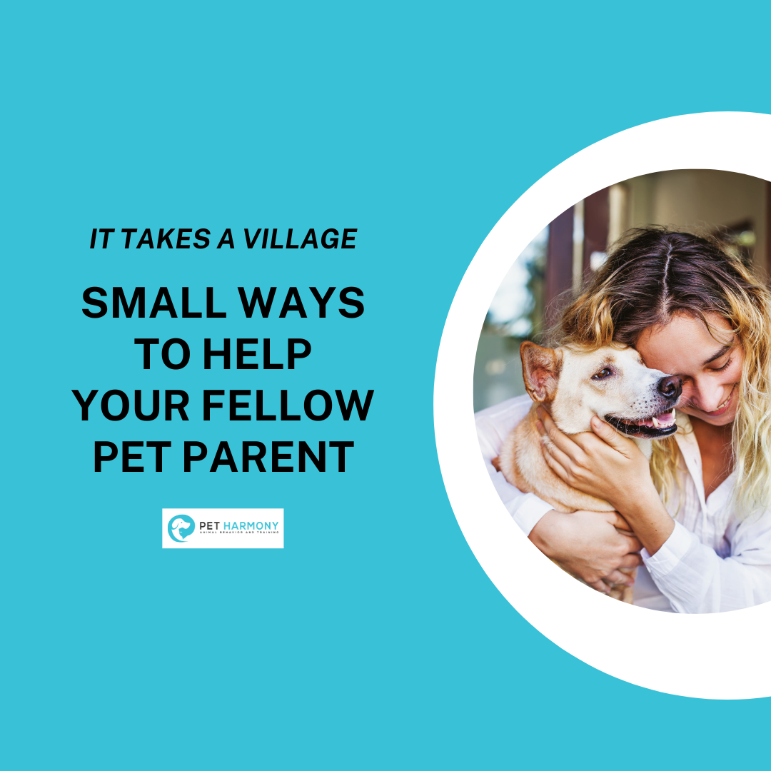 It Takes a Village: Small Ways to Help Your Fellow Pet Parent - Pet Harmony