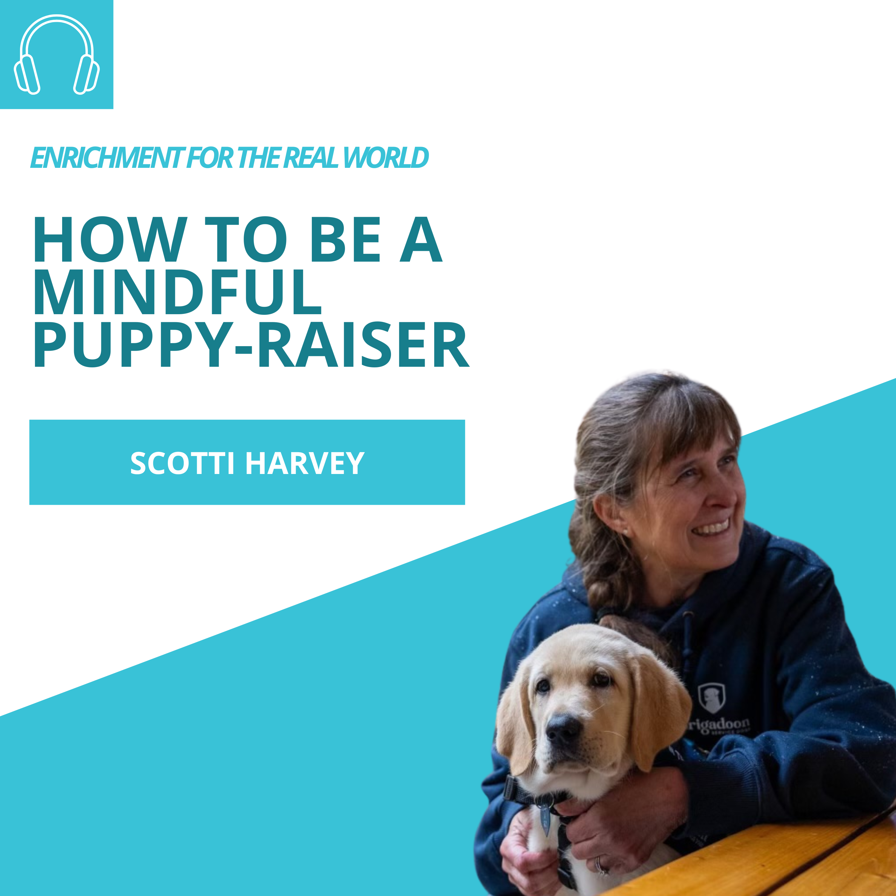 Podcast Episode 88 - Scotti Harvey: How to be a Mindful Puppy-Raiser ...