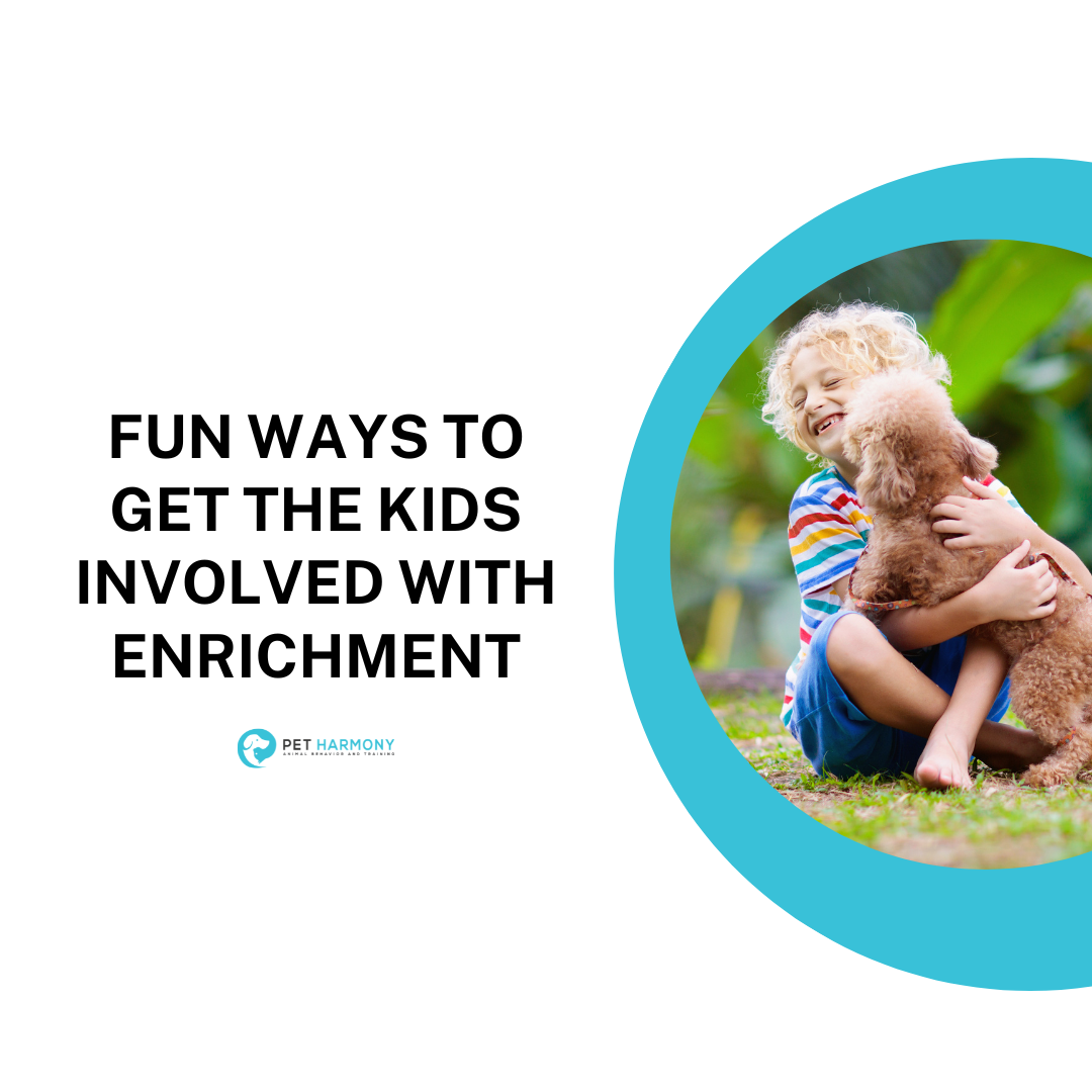 Fun Ways to Get the Kids Involved With Enrichment - Pet Harmony