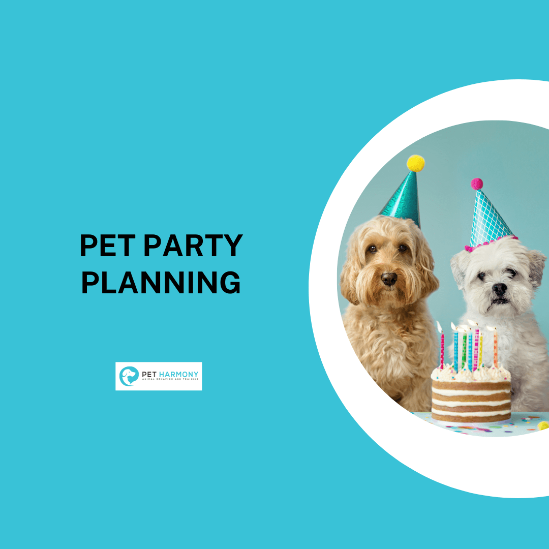 Pet Party Planning - Pet Harmony