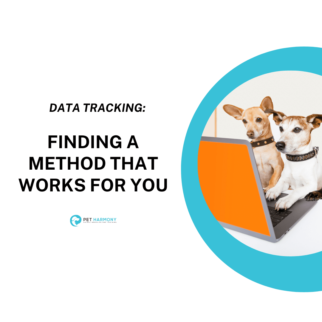 Data Tracking: Finding a Method That Works For You - Pet Harmony