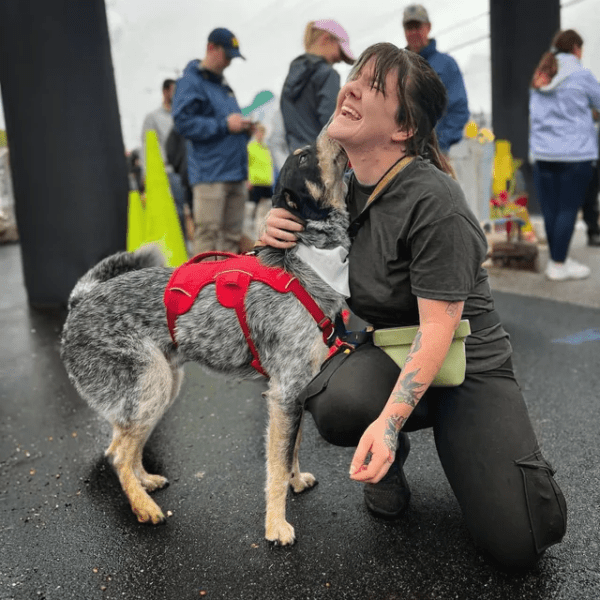 PETPro - Pet Harmony Mentorship Program for Dog Trainers
